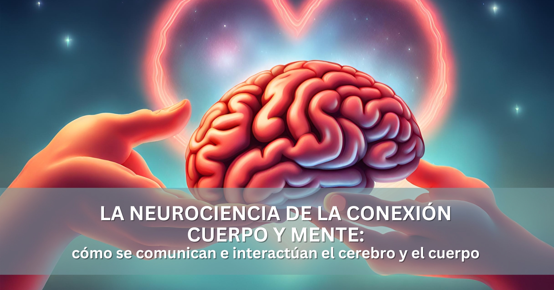 La neurociencia de la conexión cuerpo y mente: cómo se comunican e interactúan el cerebro y el ...